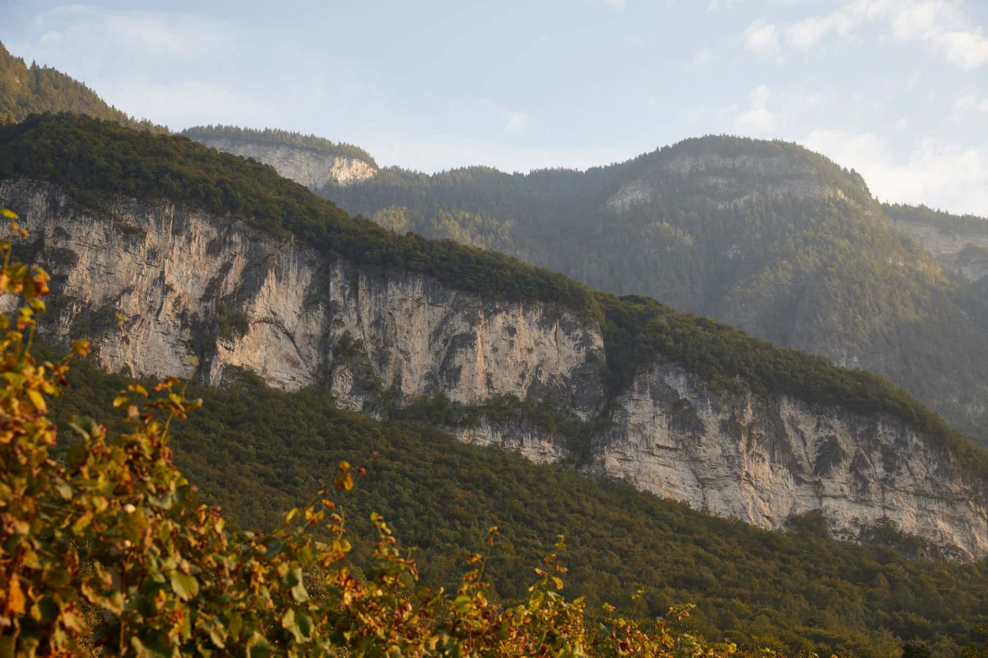 Sortiment / Kellerei Girlan